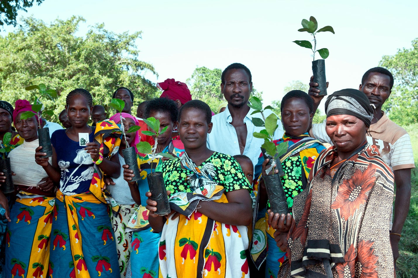 Innovating the Cashew Value Chain in Tanzania - Danida Business ...