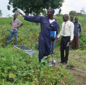 Projects - Danida Business Partnerships