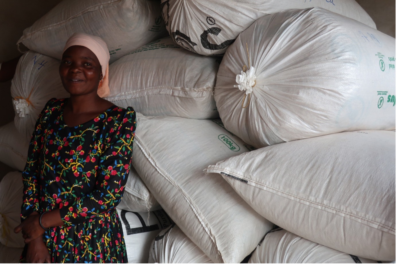 Green Production Landscape - Danida Business Partnerships