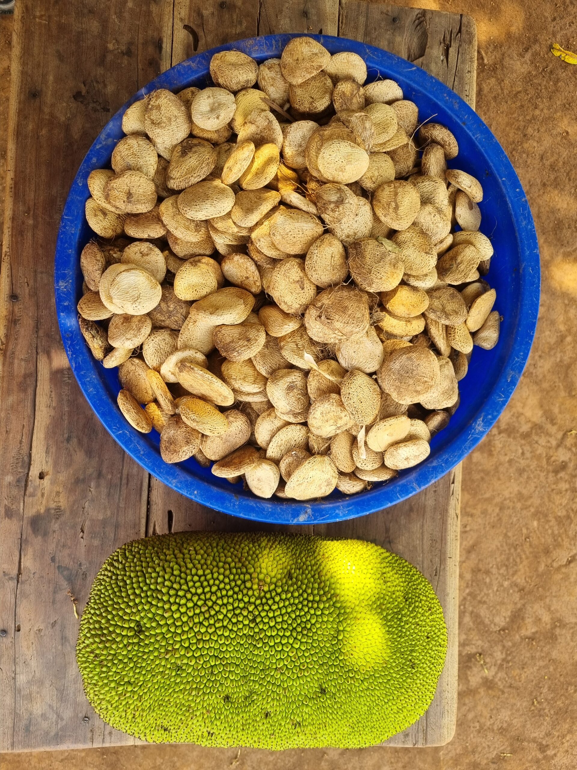 NOURISH - Nutritious Oysternuts for Uganda’s Refugee Hosting districts ...