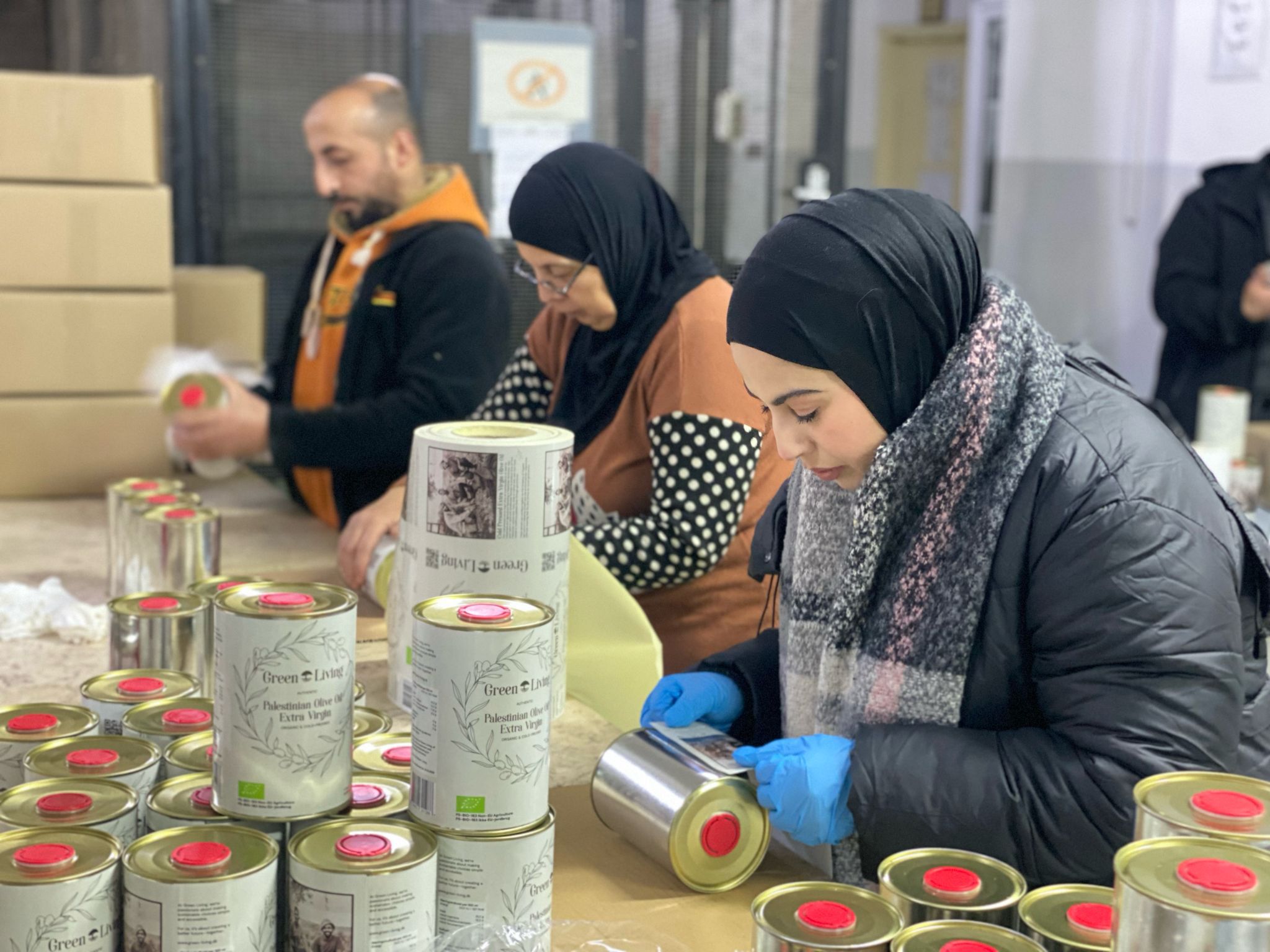 Enhancing the Green Gold of Palestinian Economy - Danida Business ...
